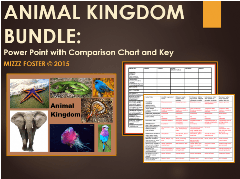 Animal Kingdom Bundle - Microsoft Powerpoint - Free Transparent PNG ...