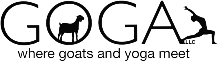 Download Cropped Goga Logo Trans 1 - Give2asia Logo PNG Image with No ...