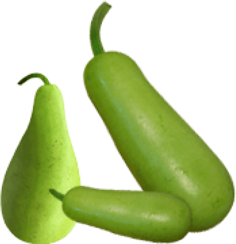 Download Sale Bottle Gourd Round 1 Kg - Bottle Gourd Png Transparent ...