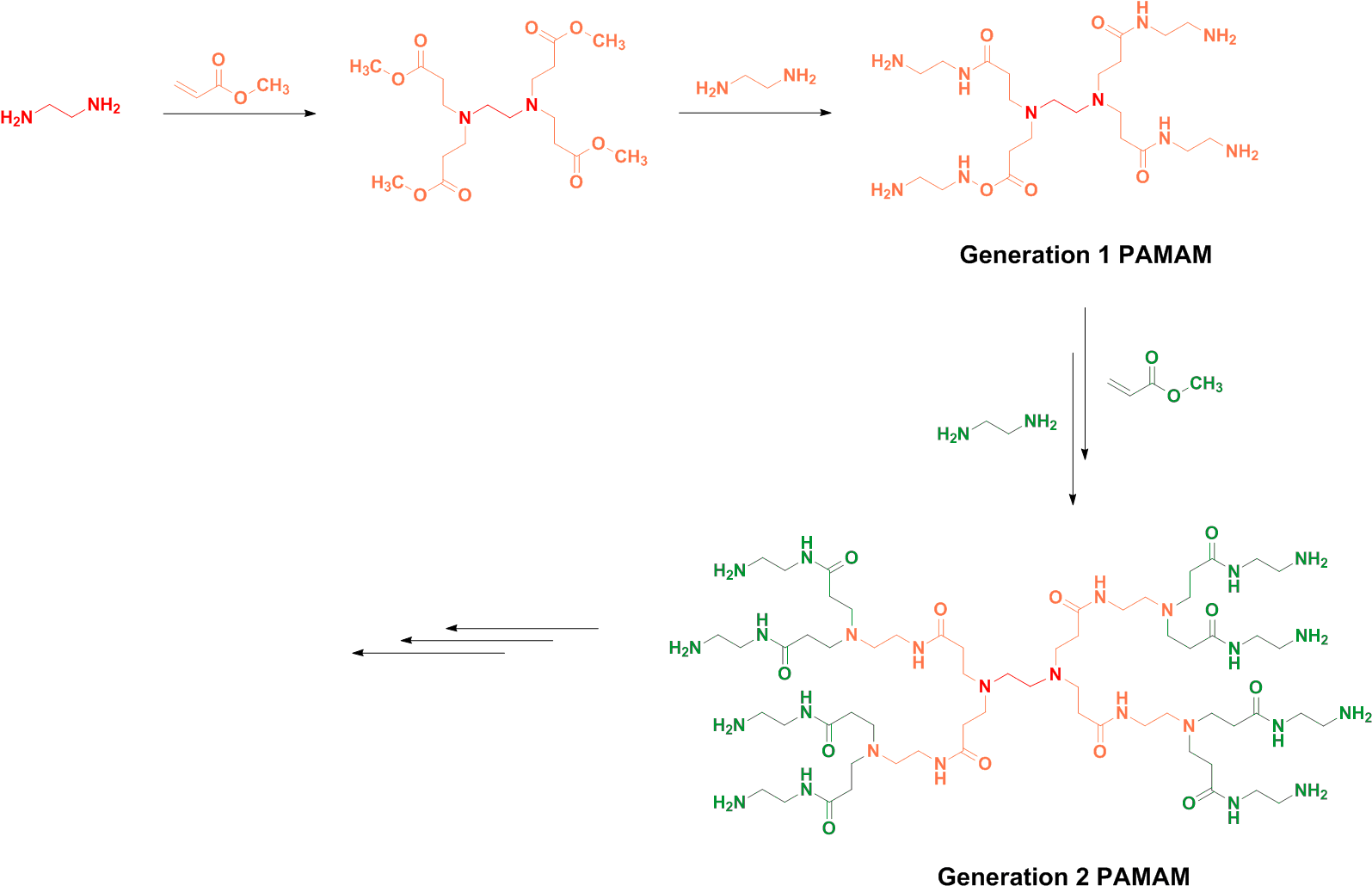 Download Pamam Divergent Synthesis Color-coded - Diagram PNG Image with ...