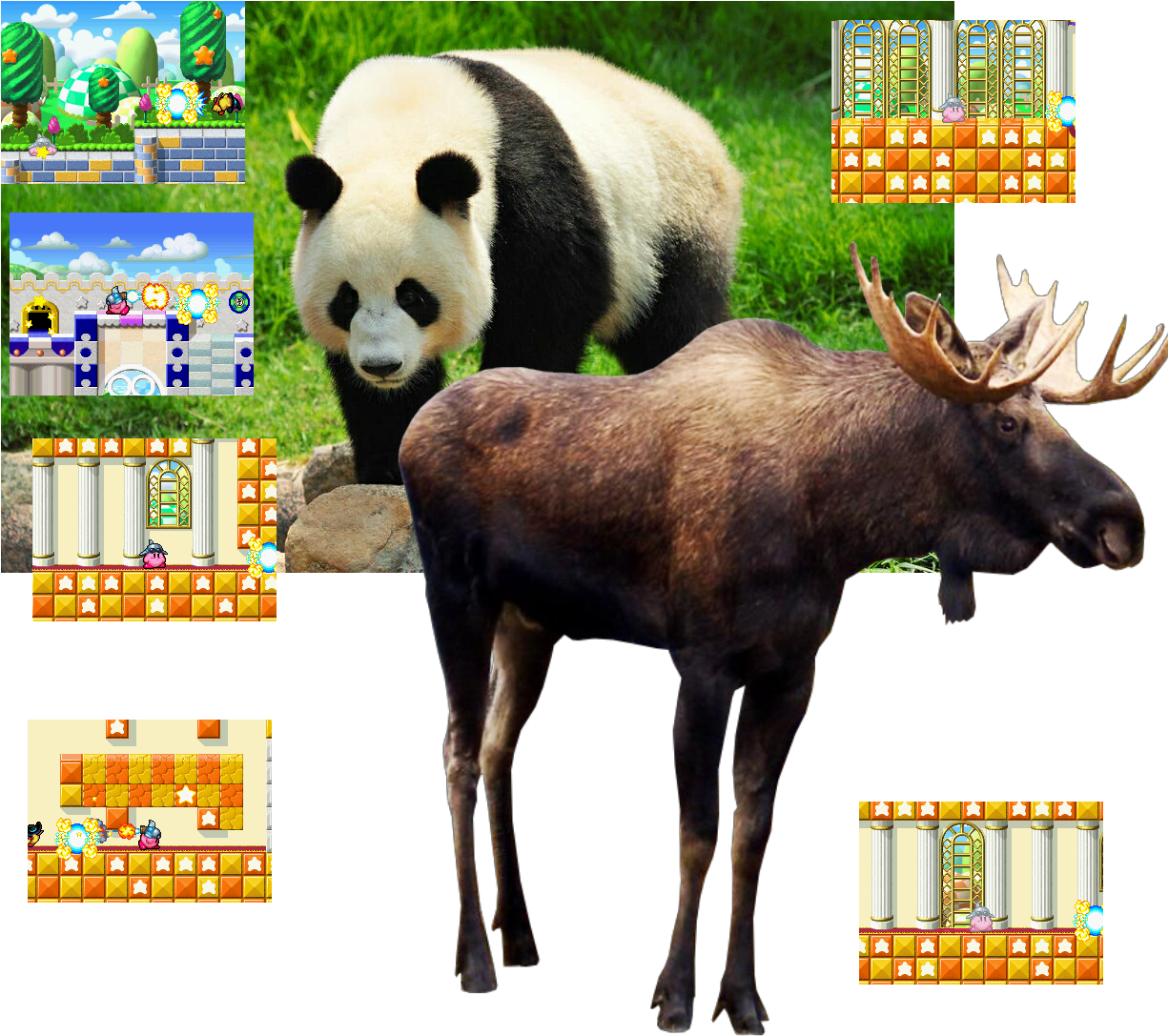 Download Moose, Giant Panda, Animals Get Reincarnation By Prayers PNG ...
