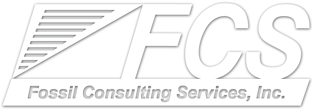 Download White Fcs Logo With Shadow - Logo PNG Image with No Background ...