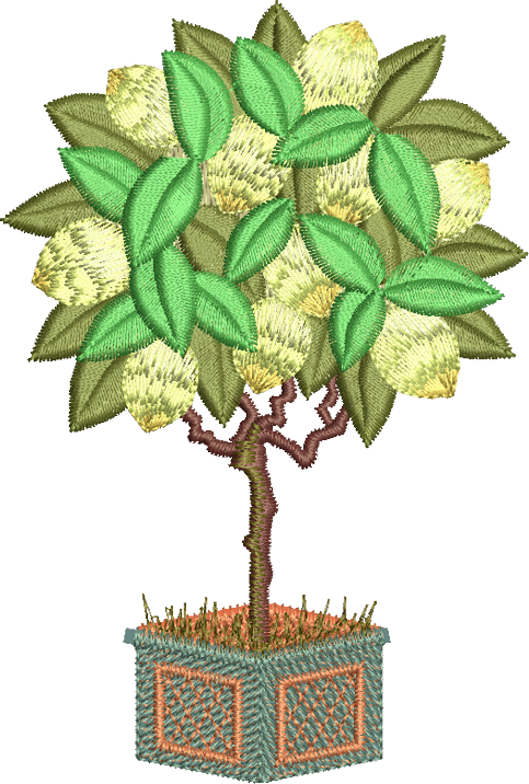 Download 27 - Lemon Tree - Tree PNG Image with No Background - PNGkey.com