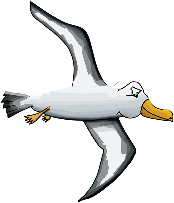 Download Svg Freeuse Library Png Transparent Images Pluspng - Albatross ...