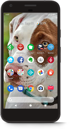 Download Google Pixel PNG Image with No Background - PNGkey.com