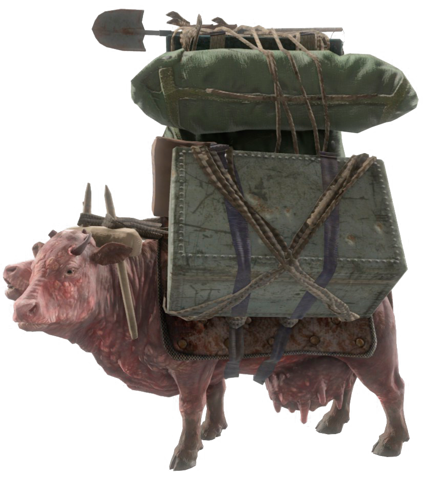 Brahmin Fallout Fallout 4 Is There Any Way To Move A Brahmin Away