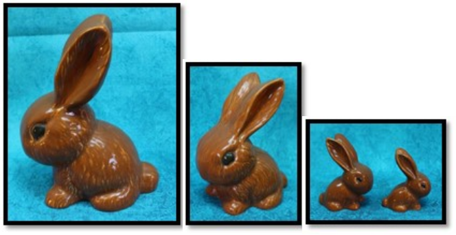 Download China Rabbits Breed Success - Rabbit PNG Image with No ...