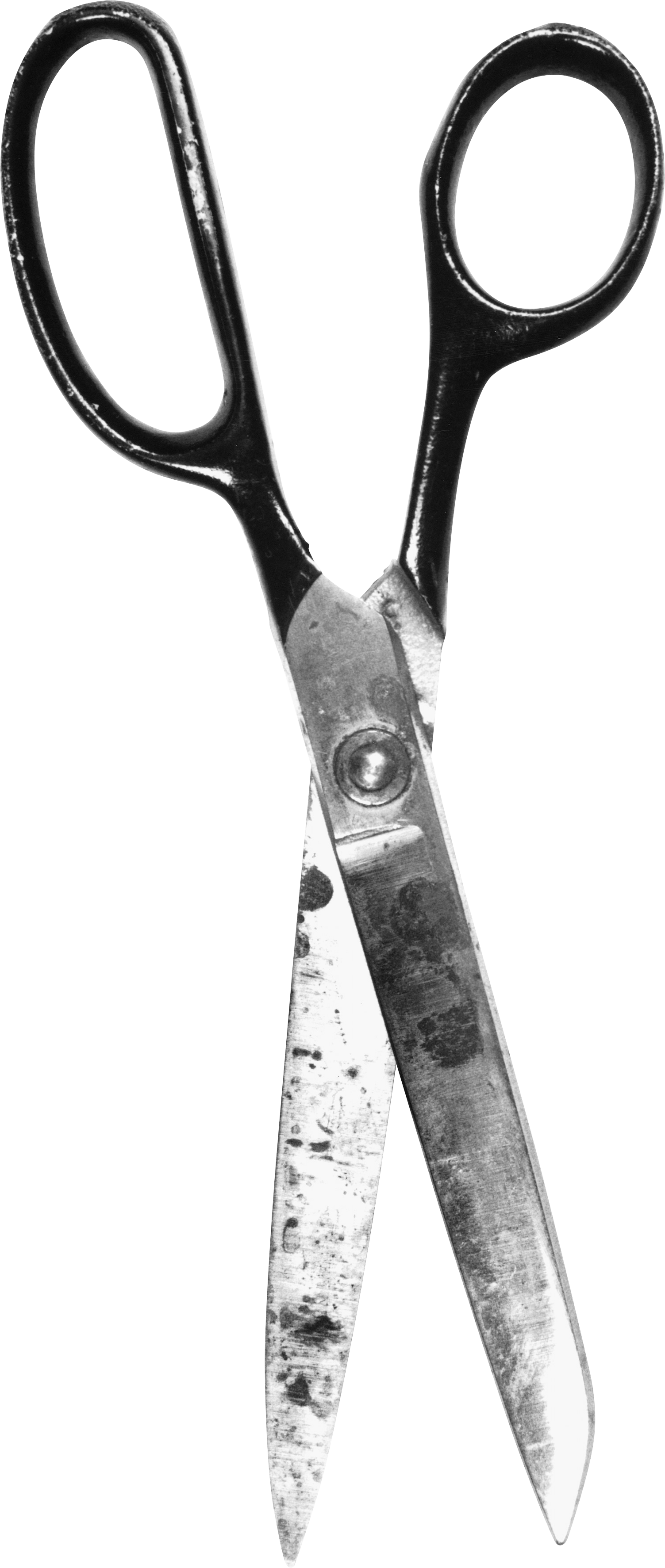 Download Scissors Png PNG Image with No Background - PNGkey.com