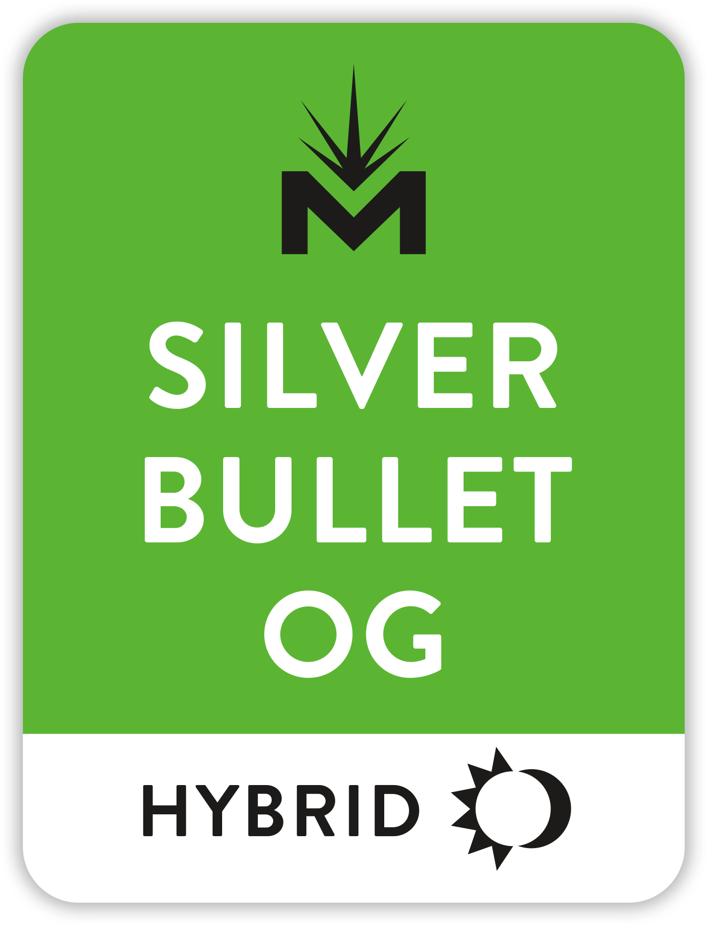 Download Bakul Name Logo PNG Image with No Background - PNGkey.com