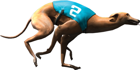 Download Racing Dog - Virtual Dog PNG Image with No Background - PNGkey.com