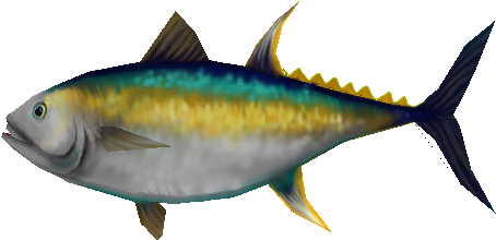 Download 14957 - Atlantic Bluefin Tuna PNG Image with No Background ...