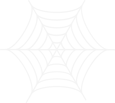Cobweb - Spider Web - Free Transparent PNG Download - PNGkey