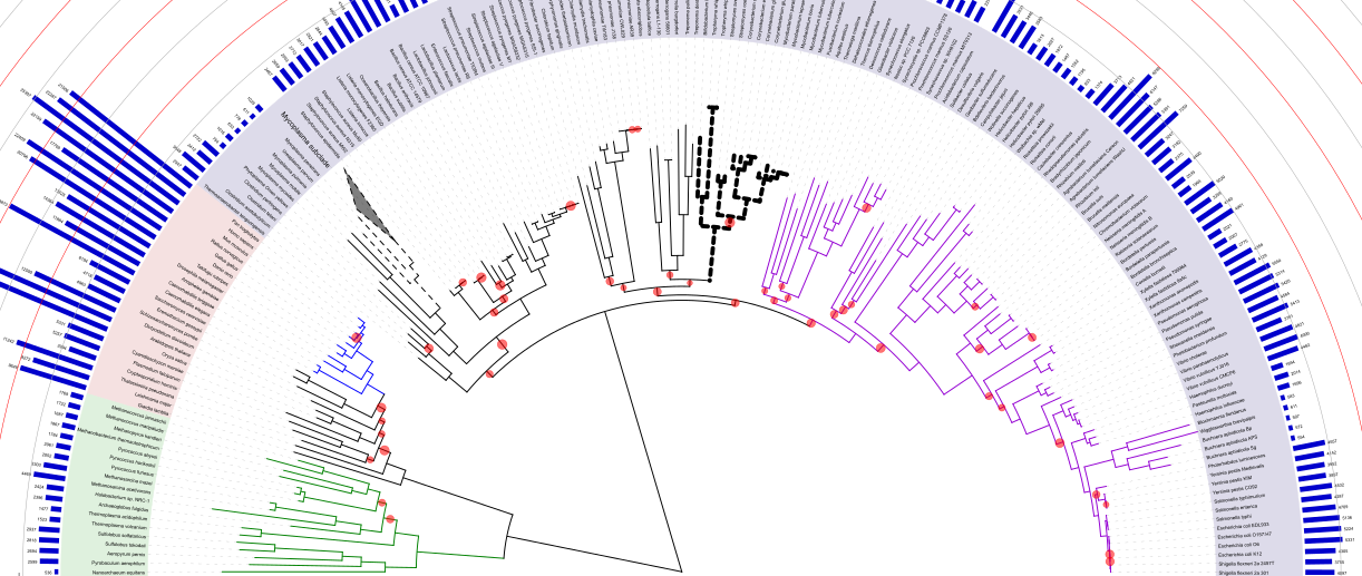 Welcome To Itol V4 - Phylogenetic Tree - Free Transparent PNG Download ...