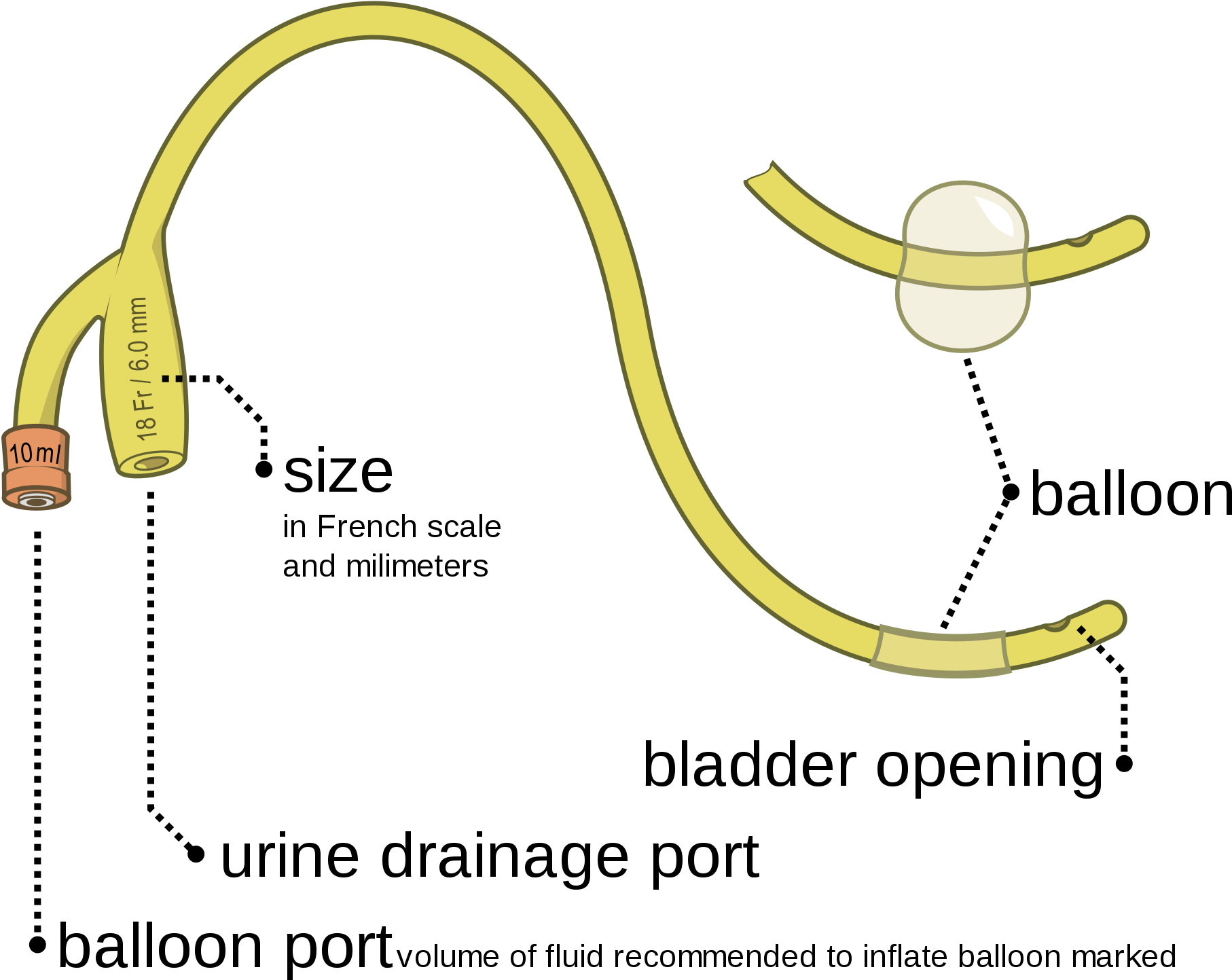Download Open - 2 Way Foley Catheter PNG Image with No Background ...