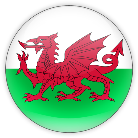 Download Wales Flag Football - Welsh Flag PNG Image with No Background ...