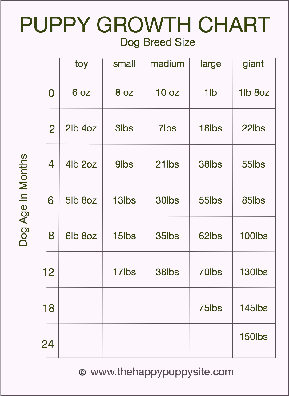 Puppy Development Stages With Growth Charts And Week - Puppy Growth ...