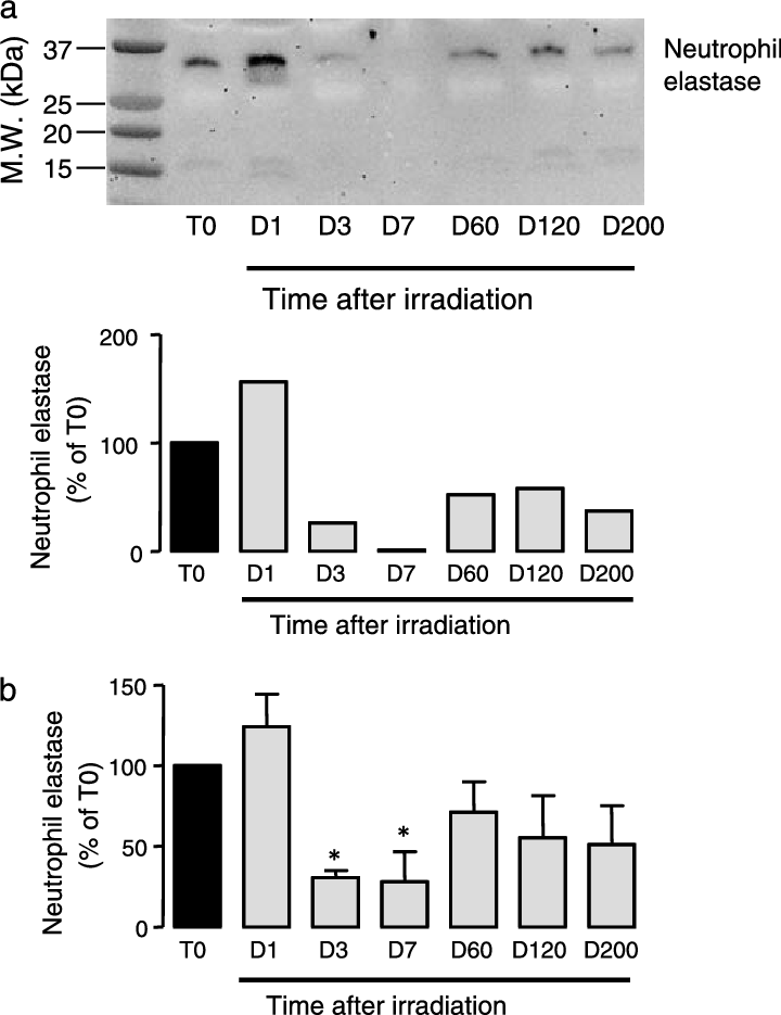 Download Upper Panel - Diagram PNG Image with No Background - PNGkey.com