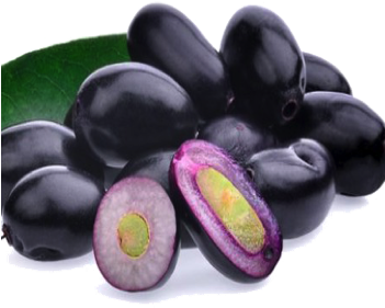 Download Fresh Plum Best 2018 Selling Plums - Java Plum PNG Image with ...