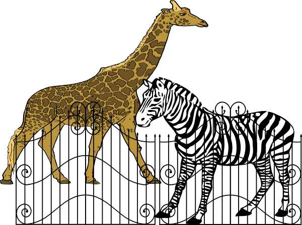 Animals In Zoos Clipart - Free Transparent PNG Download - PNGkey
