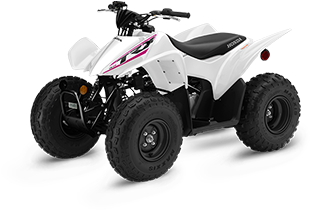 Download View Trx90x - 2019 Trx90x PNG Image with No Background ...