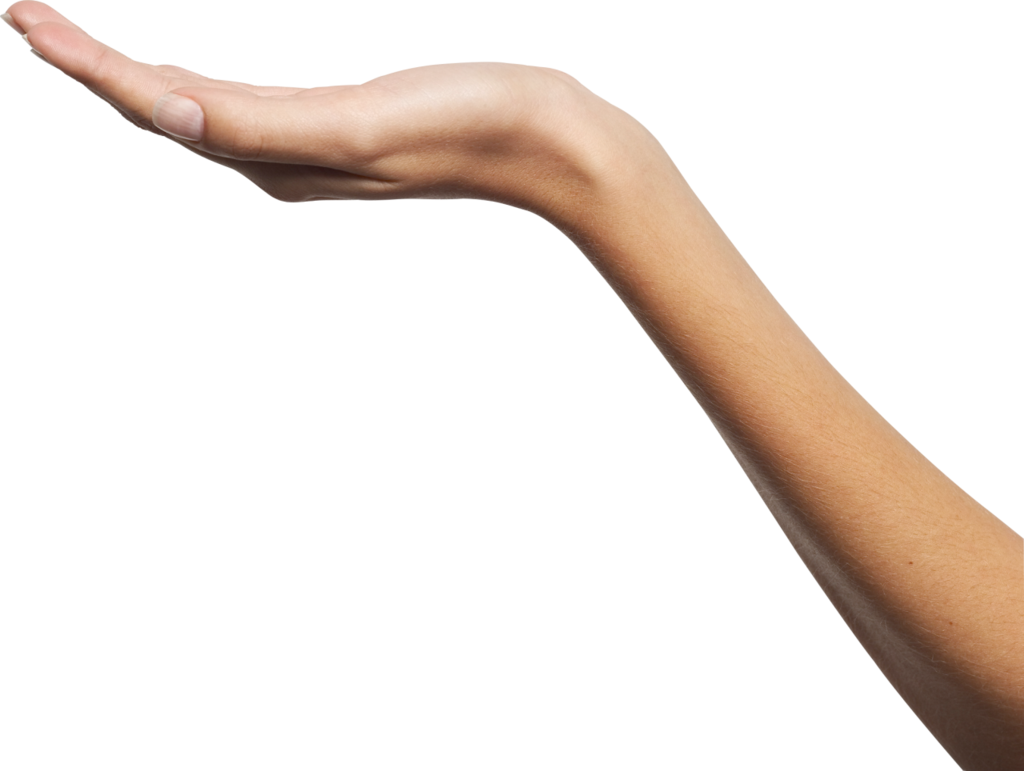 Human Hand Png - Hand Png - Free Transparent PNG Download - PNGkey