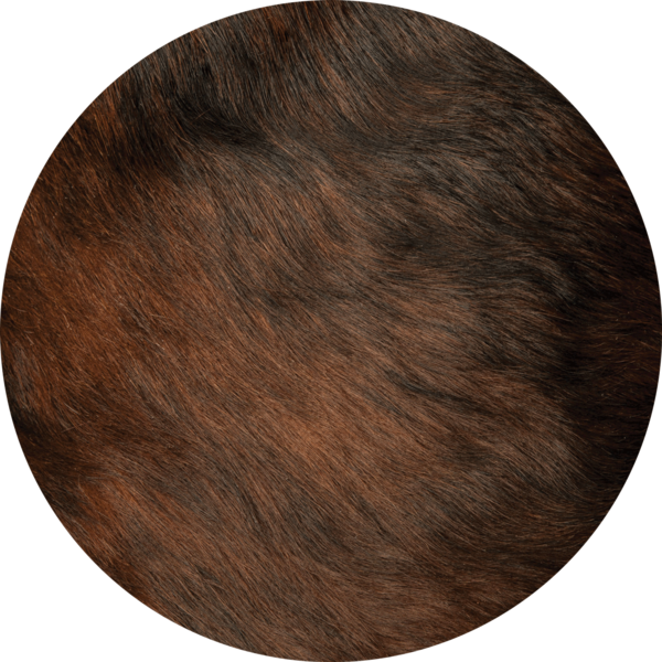 Download Red Brindle - Brindle PNG Image with No Background - PNGkey.com