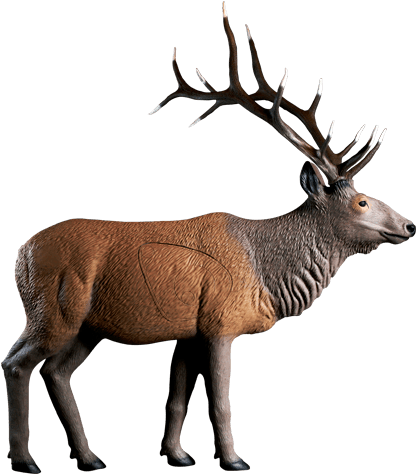 Download Embroidered Hat - 3d Archery Targets PNG Image with No ...