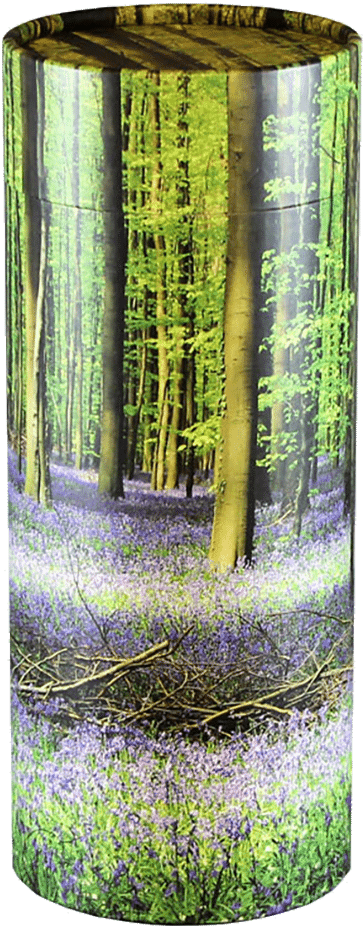 Download Bio Tubes - Scatter Tubes PNG Image with No Background ...