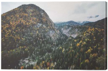 Mountains And Forest Landscape Aerial View Trees Background - Landscape ...