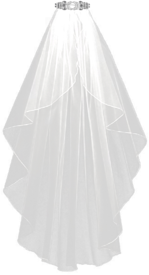 Download Veil PNG Image with No Background - PNGkey.com