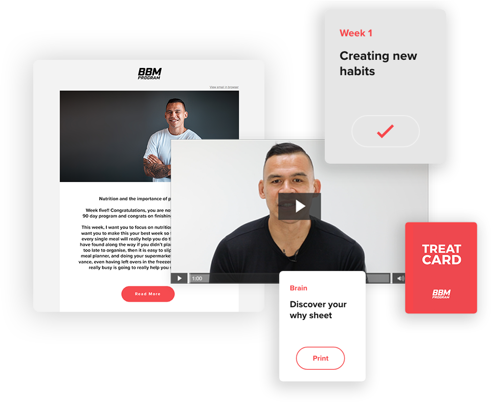 Download Brain Layout Updated - Brain PNG Image with No Background ...