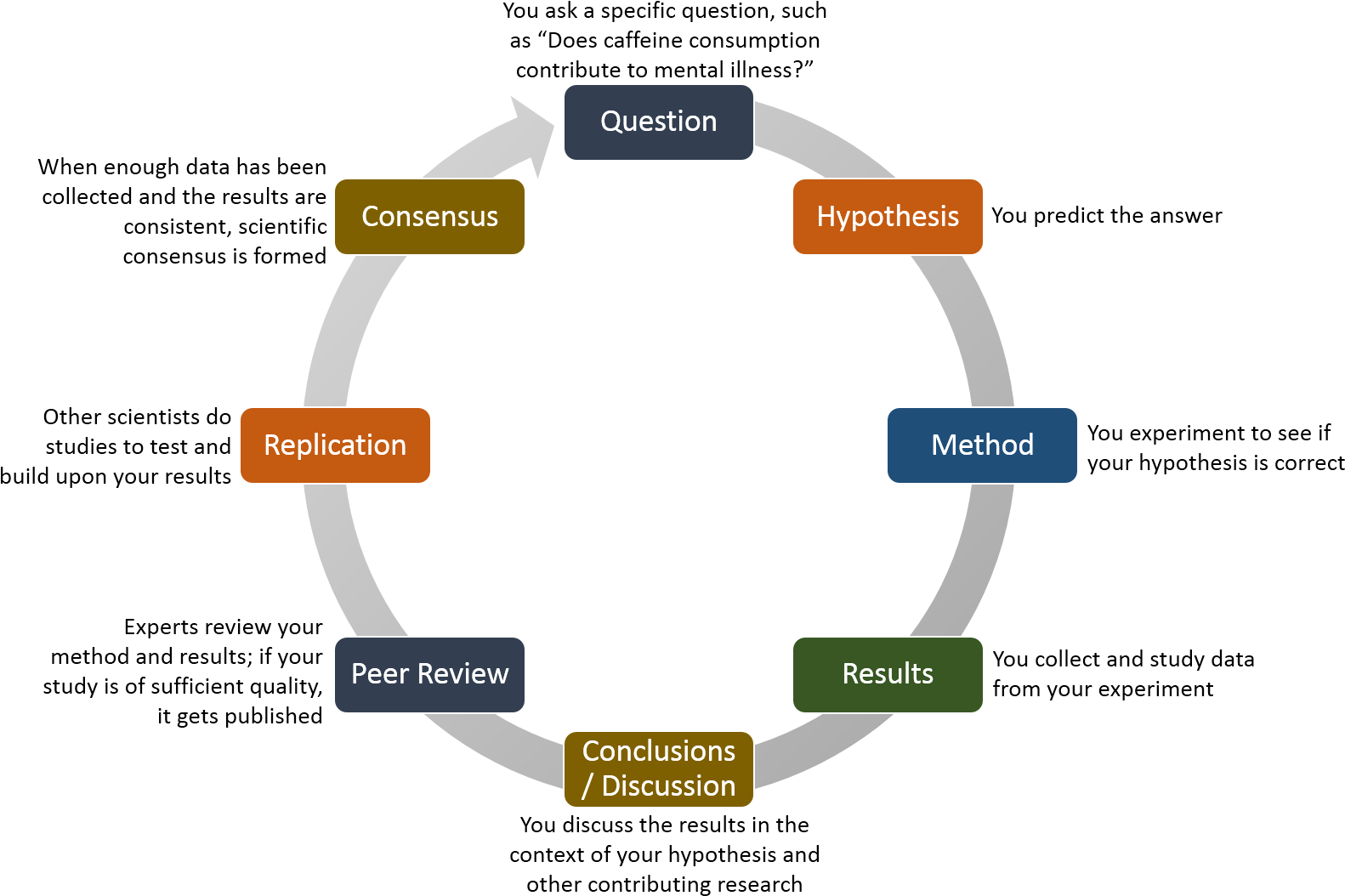 Download Scientific Research - Activities For Students PNG Image with ...