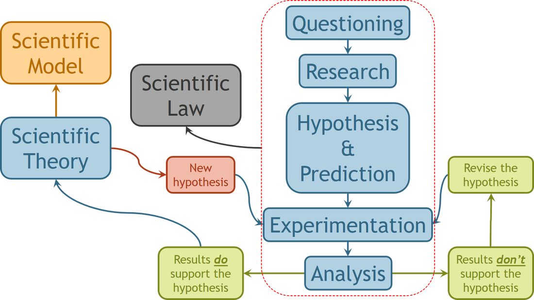 Download The Scientific Method - Diagram PNG Image with No Background ...