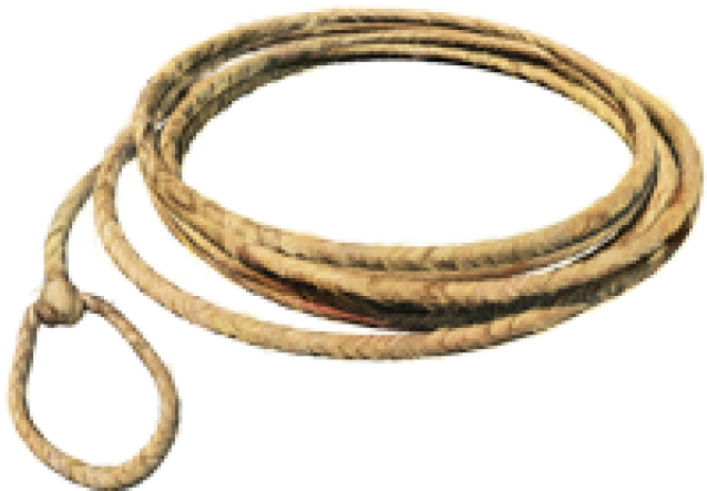 Download Lasso Png PNG Image with No Background - PNGkey.com
