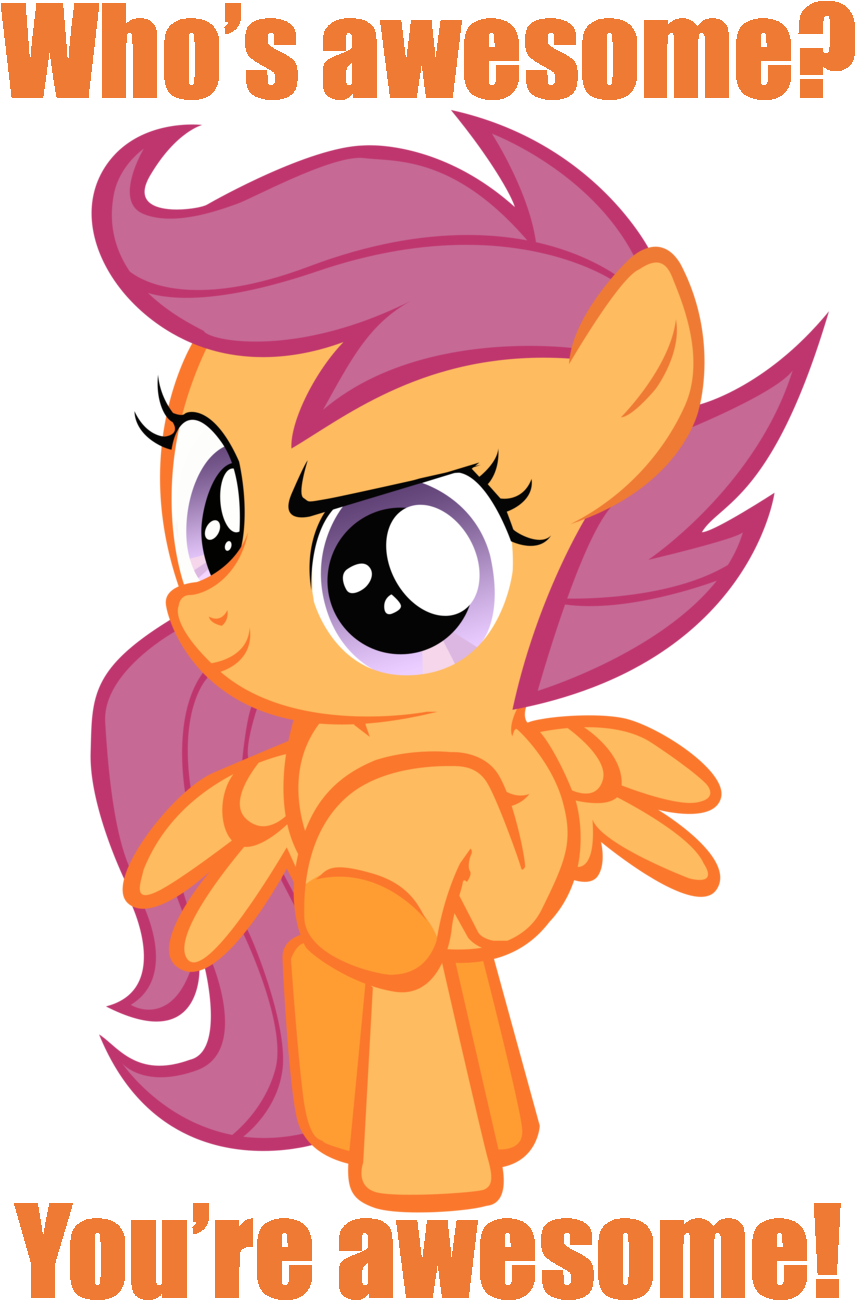 Download Awesome, Caption, Female, Filly, Image Macro, Looking - Mlp ...