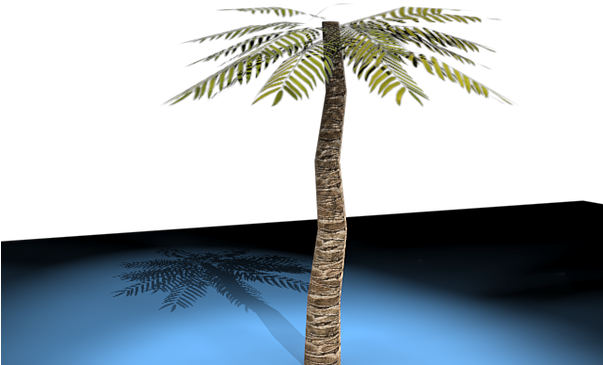 3d Palm Tree Model With Lighting And Shading - Attalea Speciosa - Free ...