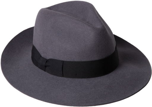 Download Alex Hat Grey Web PNG Image with No Background - PNGkey.com