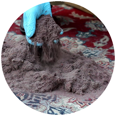 Download Carpet Cleaning PNG Image with No Background - PNGkey.com