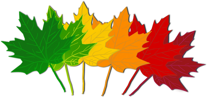 Download Fall Leaves Clip Art Beautiful Autumn Clipart 3 Image - Leaves ...