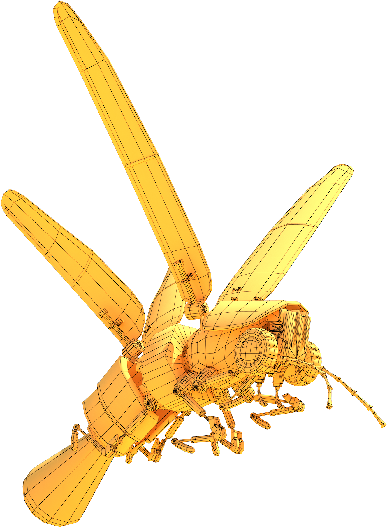 Download Firefly PNG Image with No Background - PNGkey.com