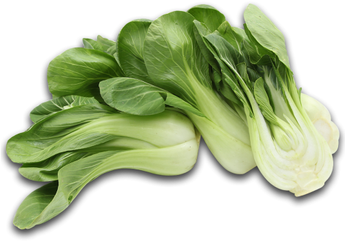 Download Bok Choi - Bokchoi PNG Image with No Background - PNGkey.com