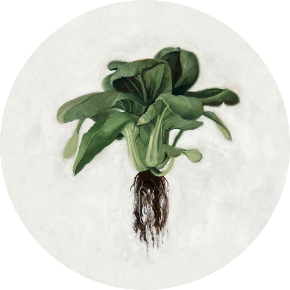 Download Still Life PNG Image with No Background - PNGkey.com