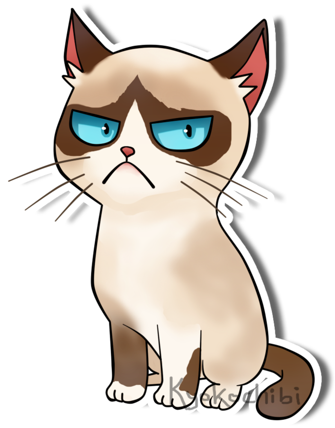 Grumpy Cats - Visit - Grumpy Cat - Free Transparent PNG Download - PNGkey