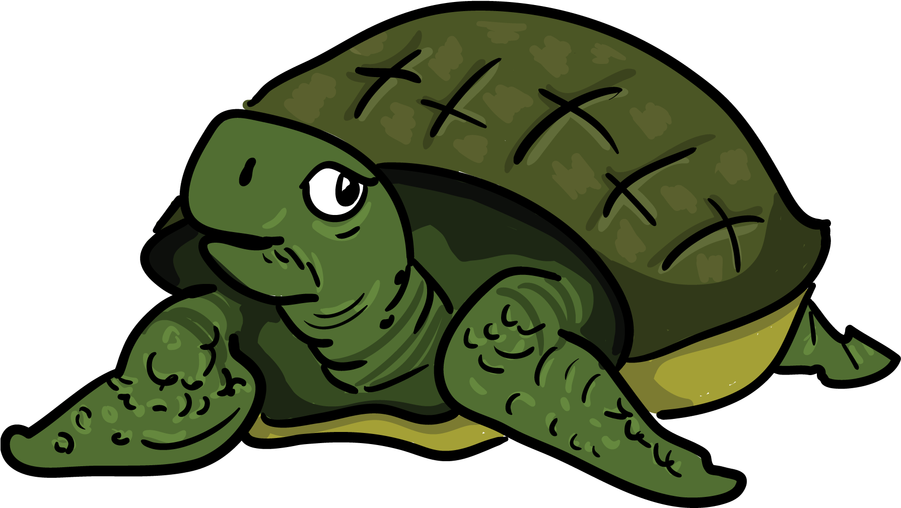 Turtoise Clipart Racing Turtle - Tortoise And Hare Png - Free ...