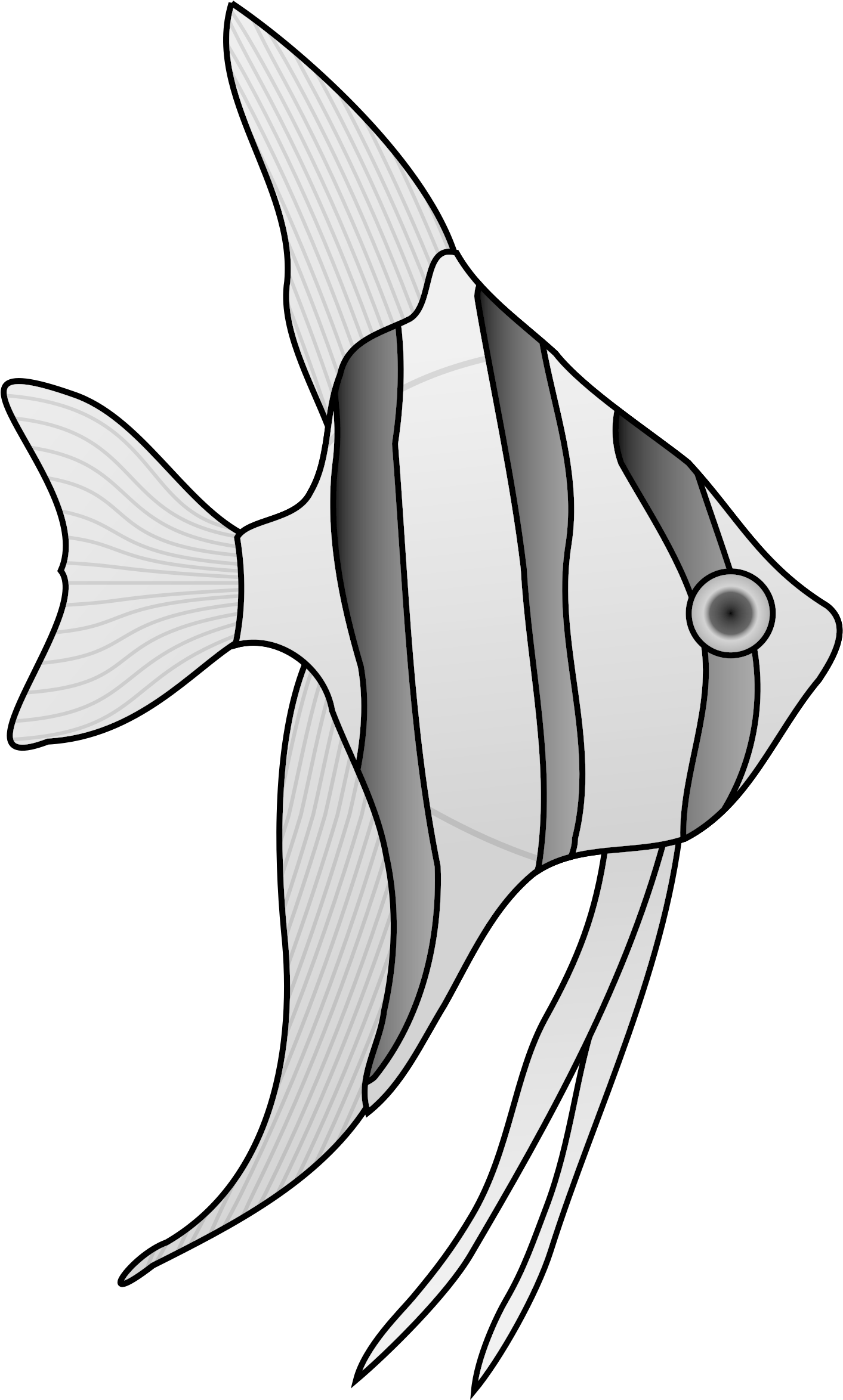 Download Angelfish Png PNG Image with No Background - PNGkey.com