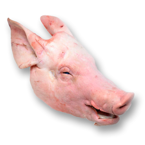 Download Pork Head - Head Cut Of Pork PNG Image with No Background ...
