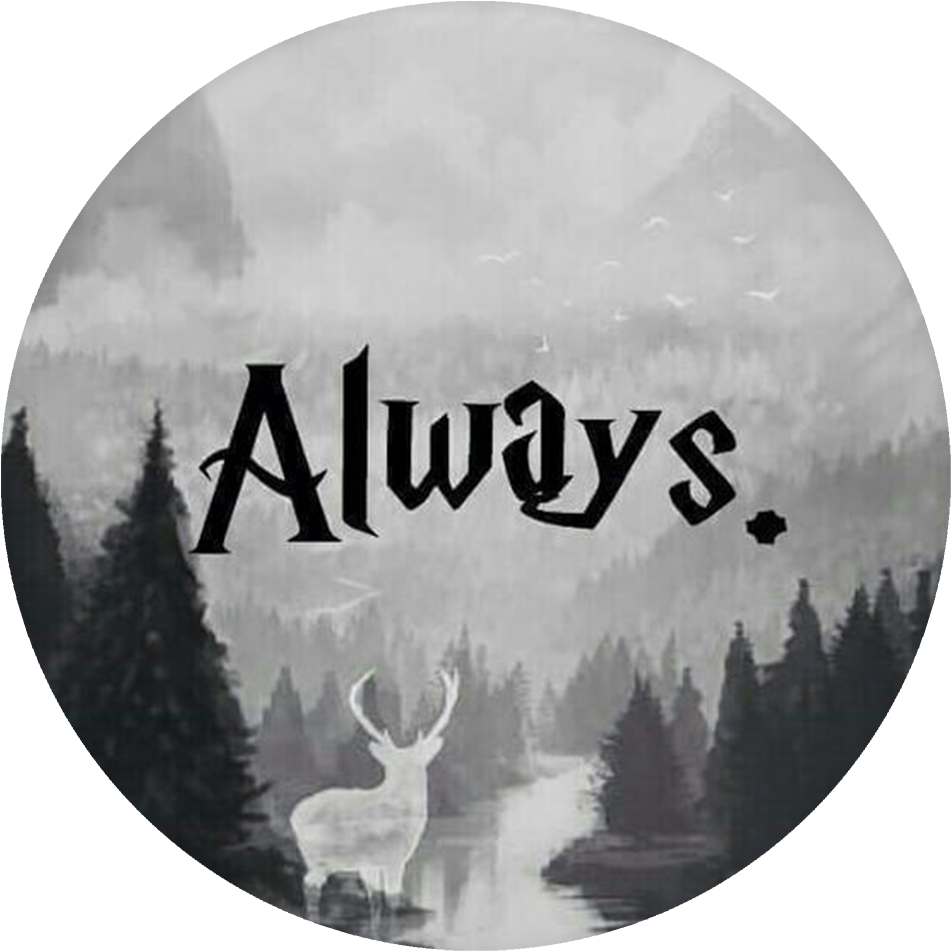 Harry Potter Popsocket Designs - Free Transparent PNG Download - PNGkey