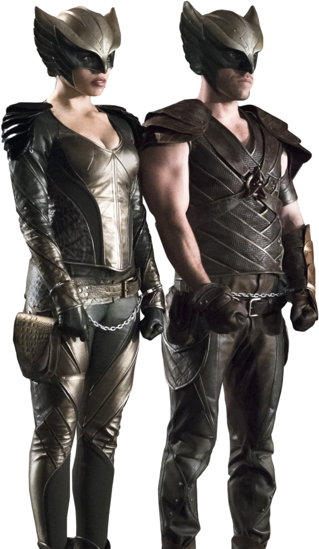 Download Hawkman And Hawkgirl - Hawkman And Hawkgirl Transparent PNG ...