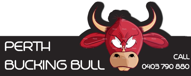 Download Perth Bucking Bull - Cartoon PNG Image with No Background ...