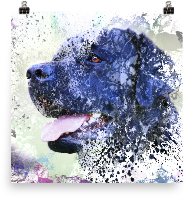 Download Black Lab Abstract Painting Labrador Retriever Dog - Labrador ...